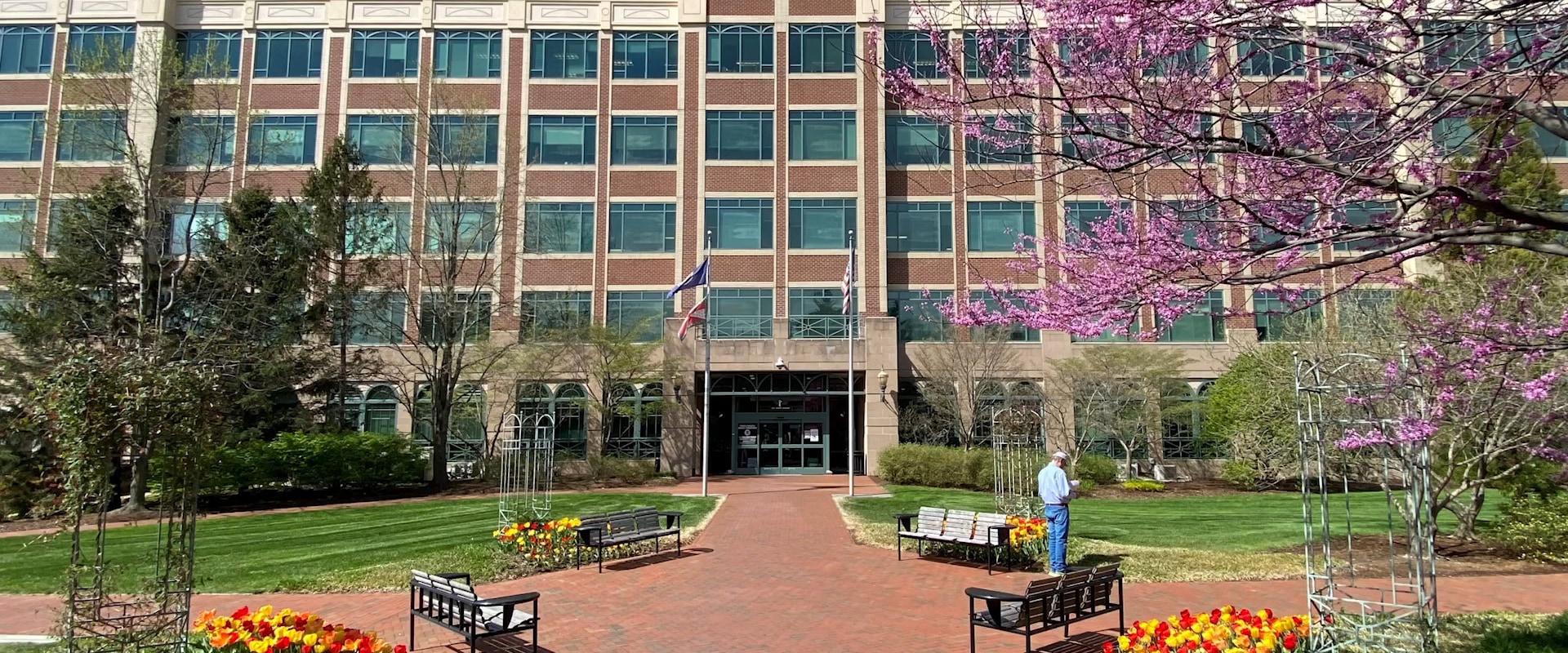 Unravelling the Loudoun County Transit Strategic Plan